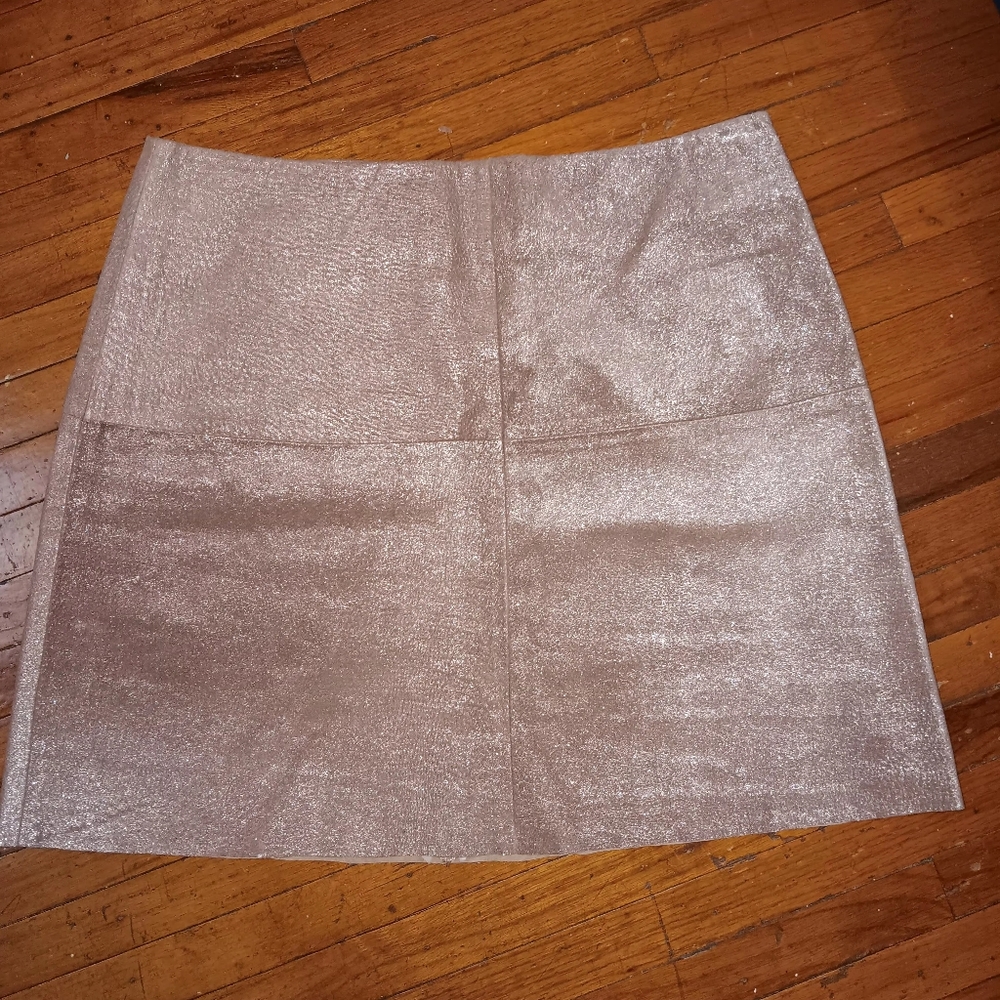 Bcbg Metallic Silver Leather Skirt - Gem